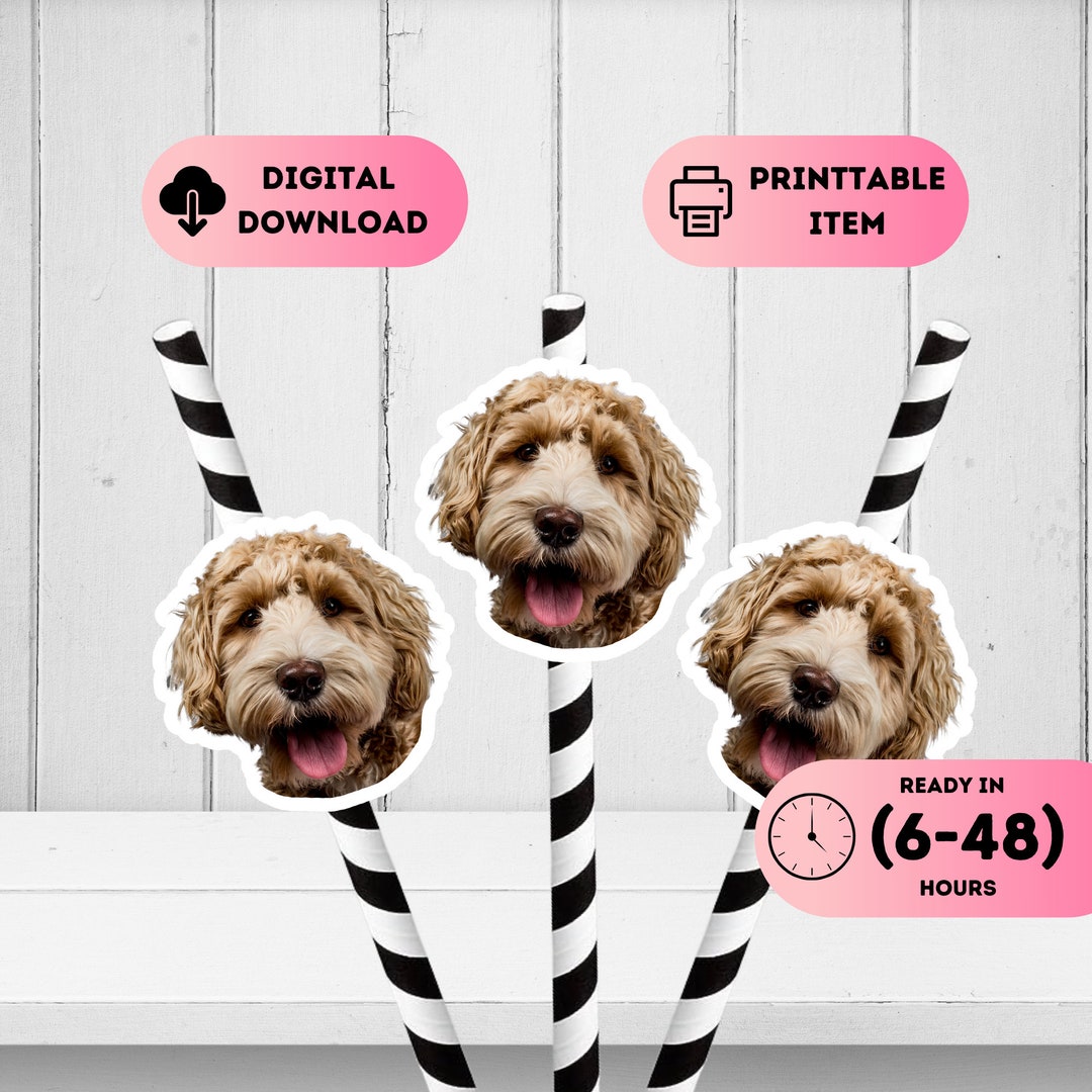 Pet Face Straws,cats Photo Straws,dog Birthday Decorations,animals ...