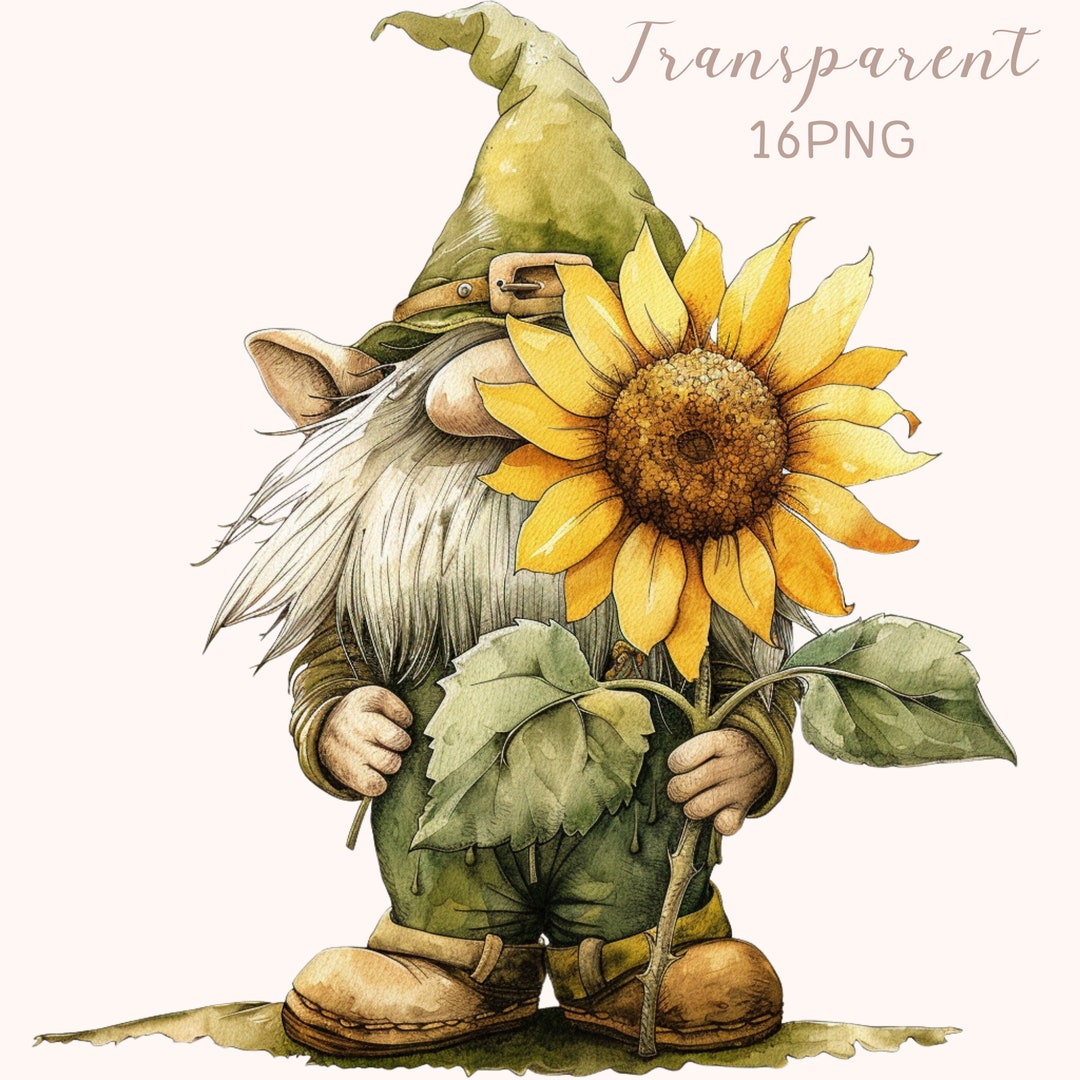 Watercolor Gnome Sunflower Clipart, High Quality Pngs, Gnome PNG ...