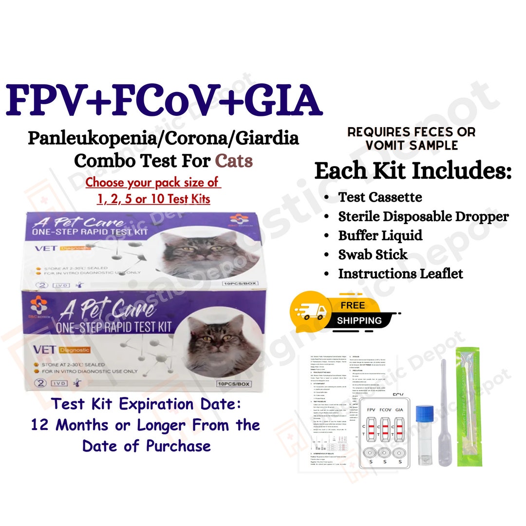 FPVFCOVGIA Rapid Home Testing Kit - Etsy