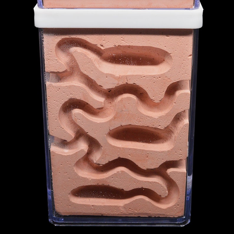 Plaster Vivarium Anthill - Ant Farm, Large Nest and Feeding Area ...