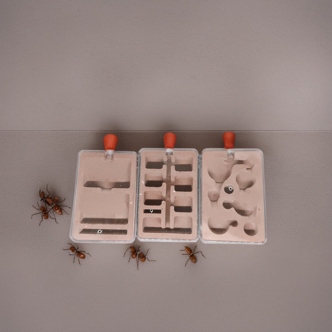 Handmade Mini Plaster Ant Nest - Red Concrete Nest, Ant Farm, Insect ...