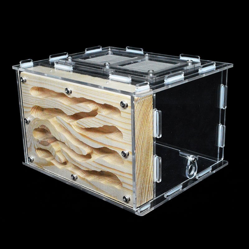 Eco-friendly Acrylic Ant Farm -acrylic Wooden Castle Workshop, DIY Ant ...