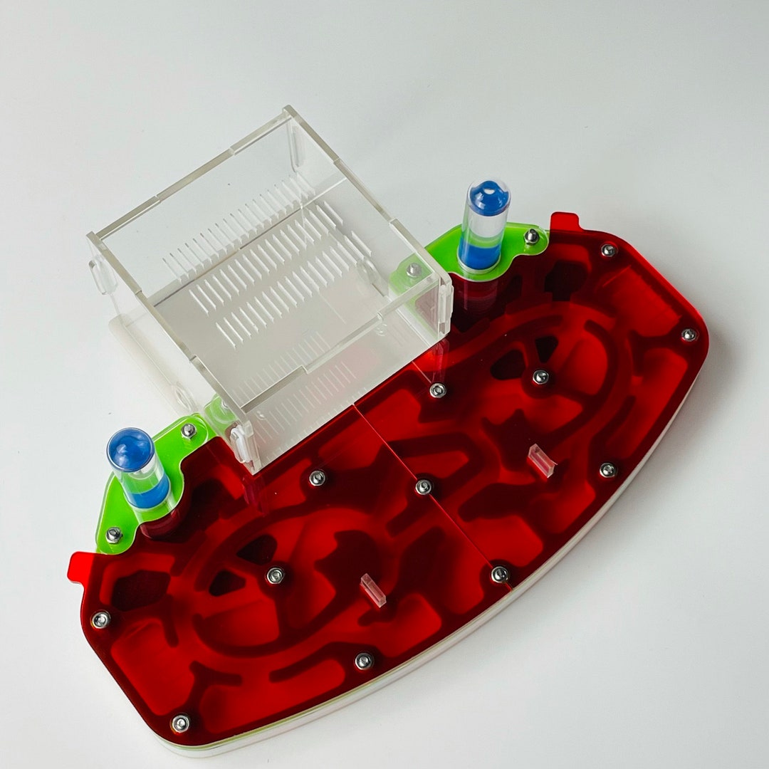 Large Size Ants Acrylic Nest Durable -expansion Ant Farm Educational ...
