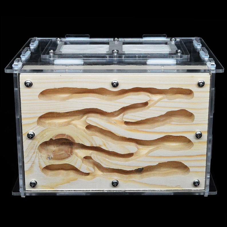 Eco-friendly Acrylic Ant Farm -acrylic Wooden Castle Workshop, DIY Ant ...