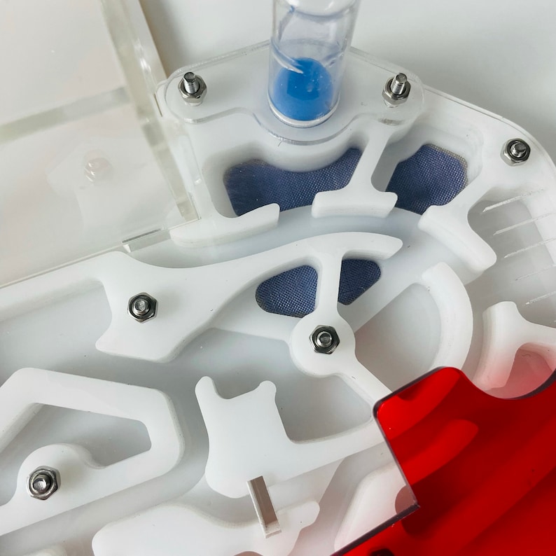 Large Size Ants Acrylic Nest Durable -expansion Ant Farm Educational ...