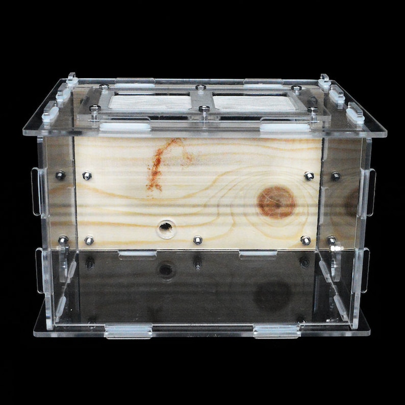 Eco-friendly Acrylic Ant Farm -acrylic Wooden Castle Workshop, DIY Ant ...