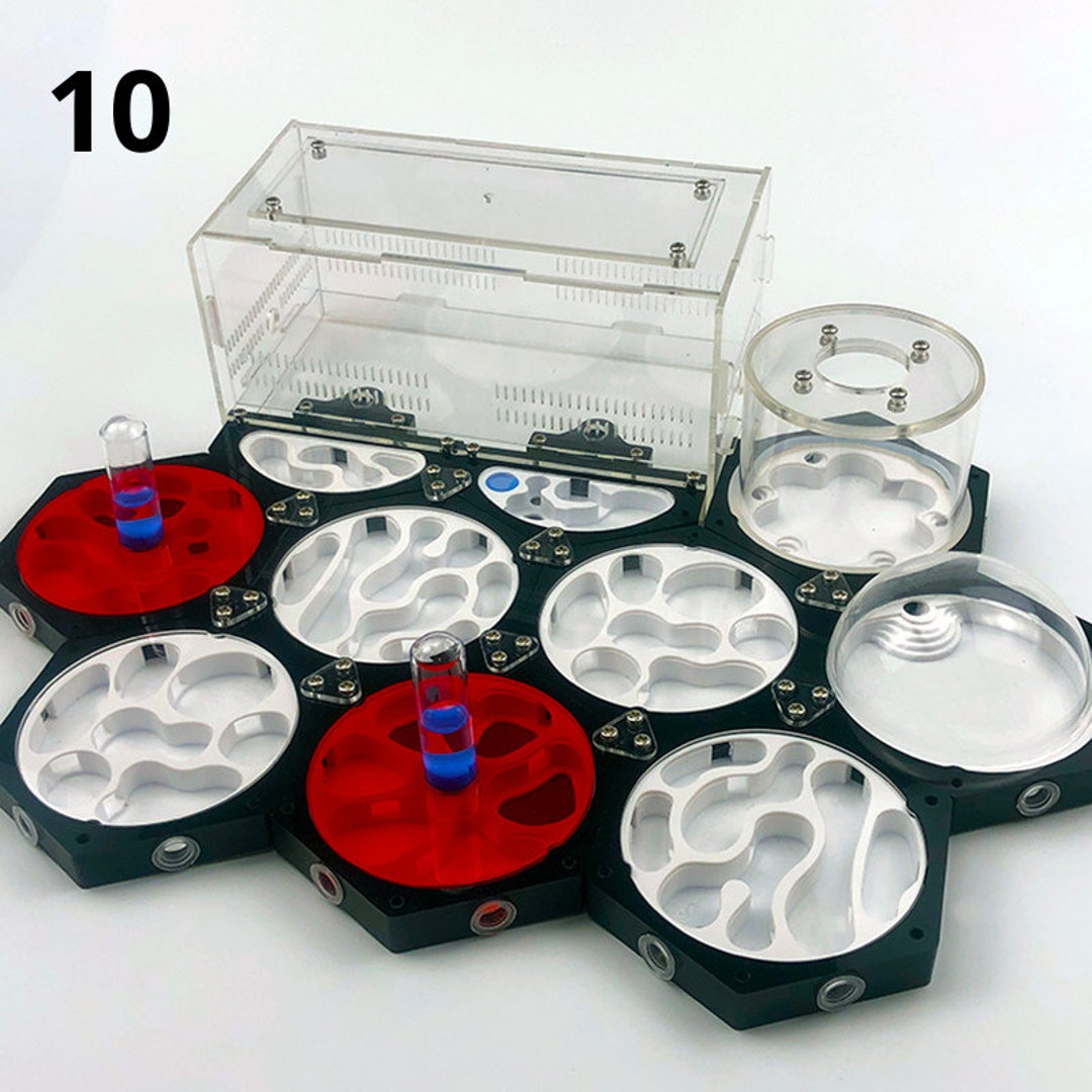 Professional Space Station With High Quality 3D Feeding Area - Ant Nest ...