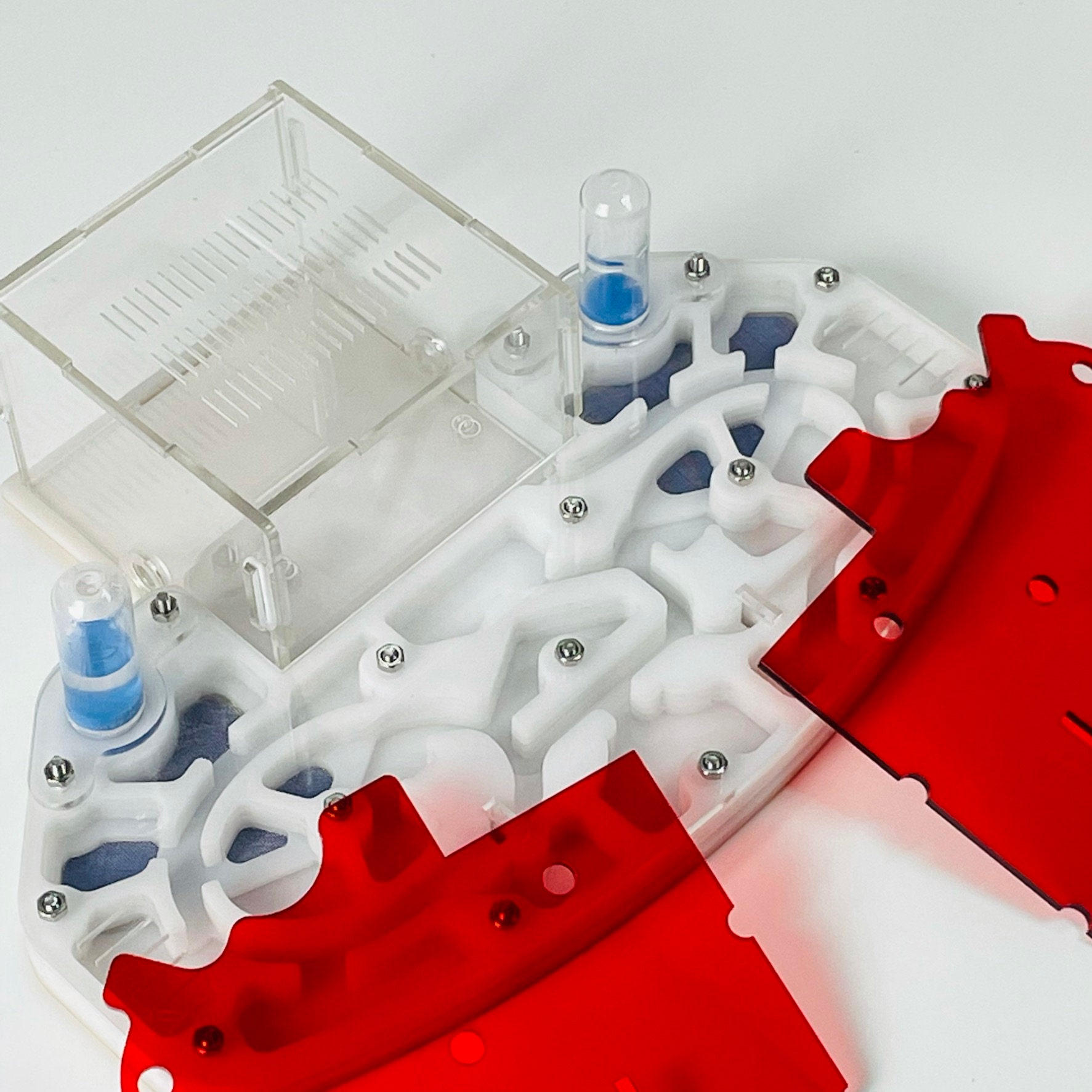 Large Size Ants Acrylic Nest Durable -expansion Ant Farm Educational ...