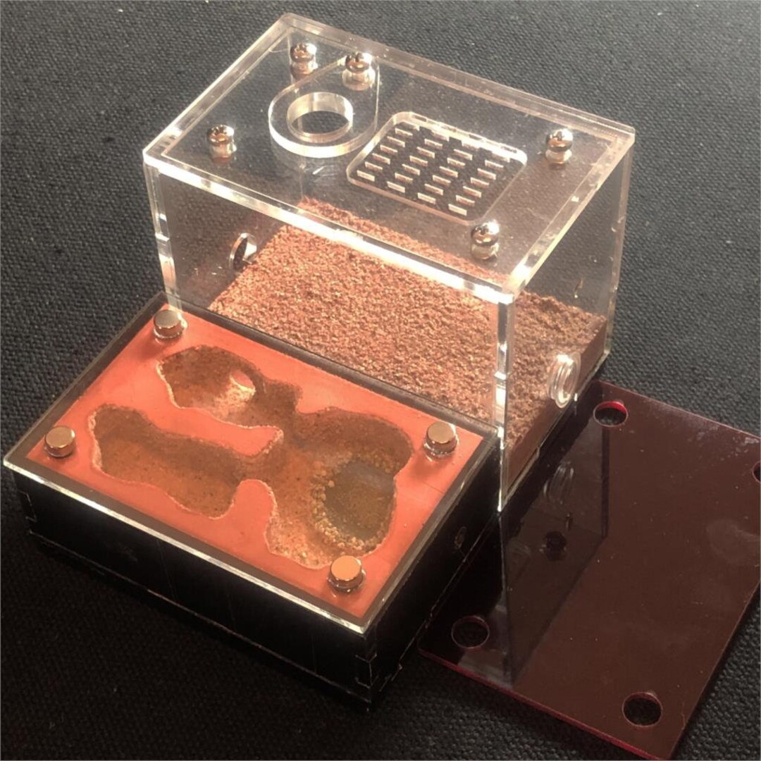 Handmade Concrete Ant Farm ant Nest,landscaping, Ant House, Insect ...