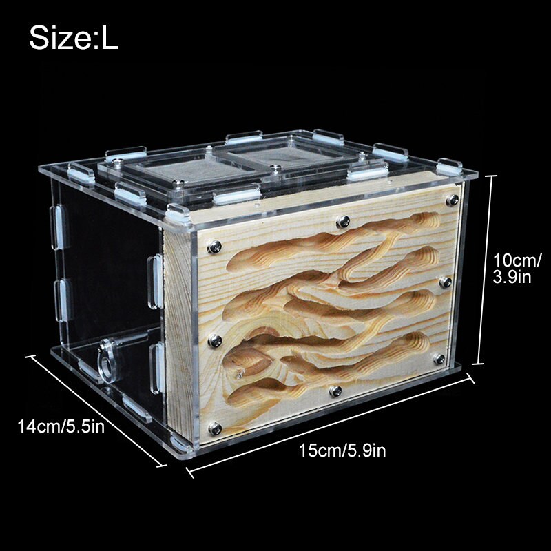 Eco-friendly Acrylic Ant Farm -acrylic Wooden Castle Workshop, DIY Ant ...