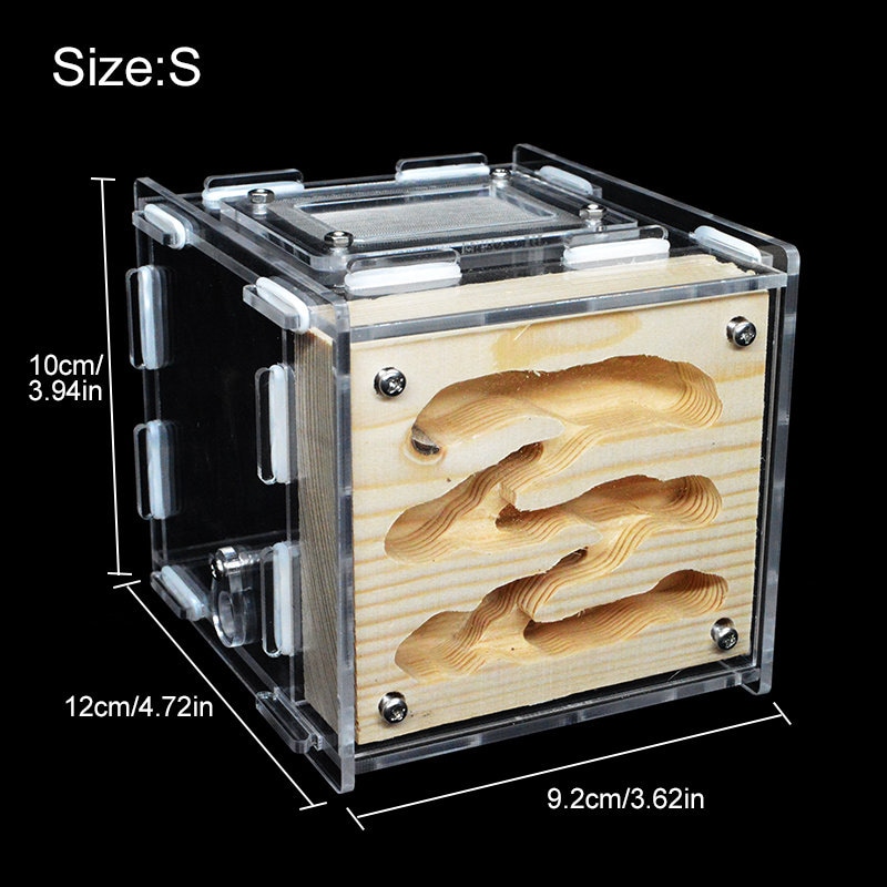 Eco-friendly Acrylic Ant Farm -acrylic Wooden Castle Workshop, DIY Ant ...