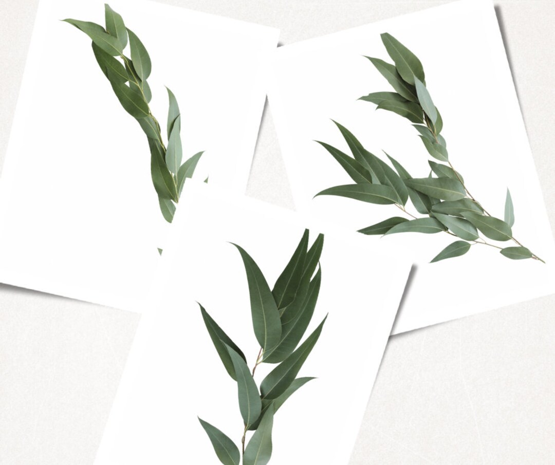 Leaf Prints - Etsy