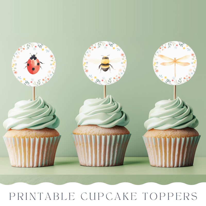 Lady Bug Birthday Plates - Etsy