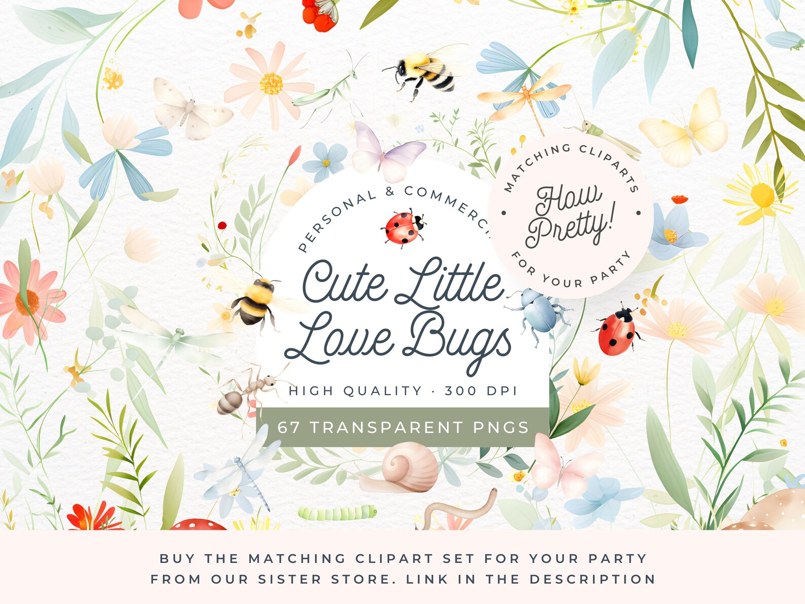 EDITABLE Ladybug Birthday Invitation, Little Lady Birthday Invite, Lady ...