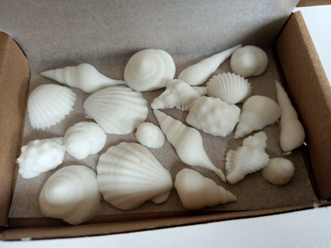 Edible Seashell Cake & Cupcake Toppers Beach , Ocean-themed Decorations ...