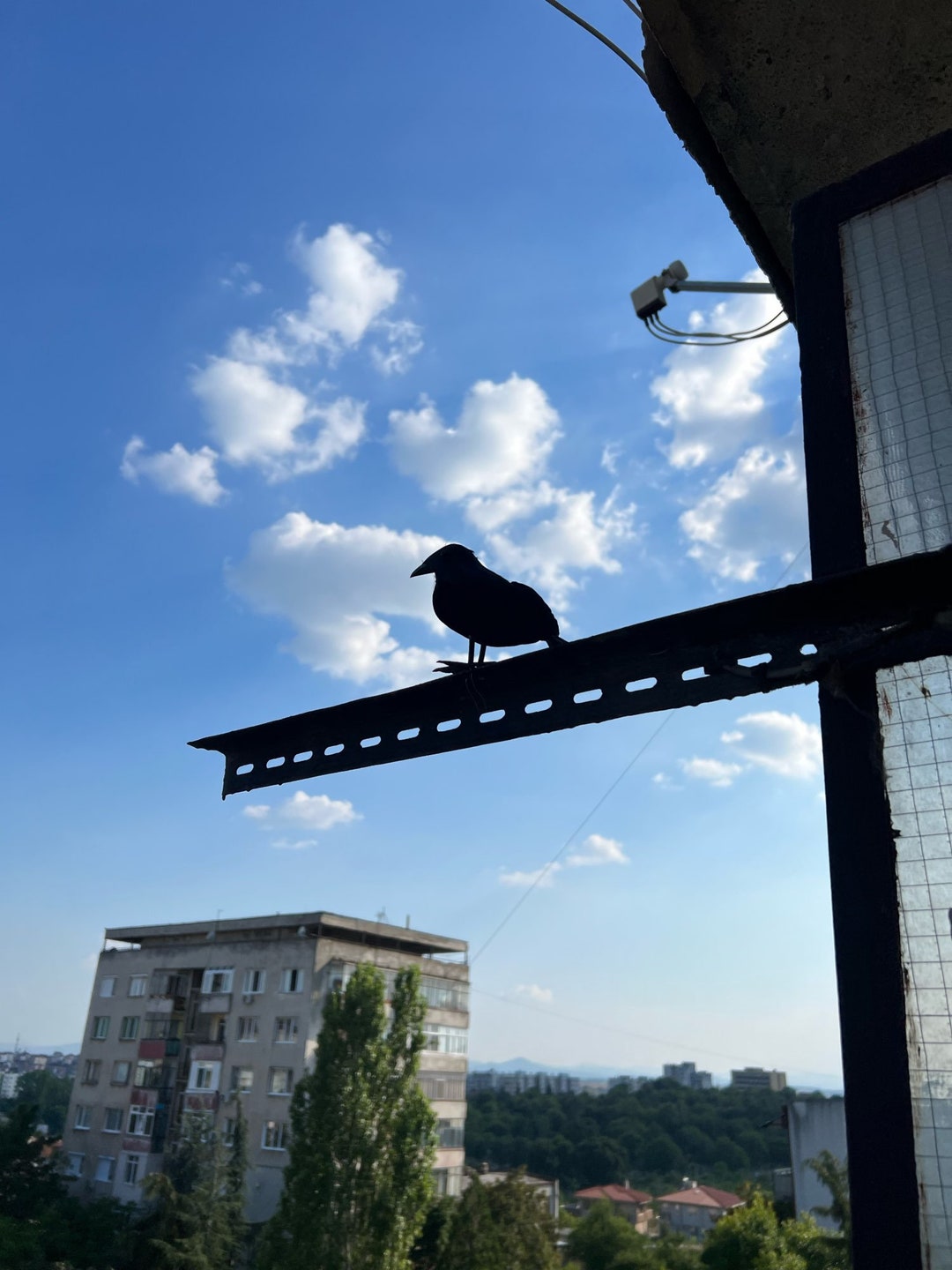 Plastic Simulation Raven With Feathered Wings Raven Model - Etsy