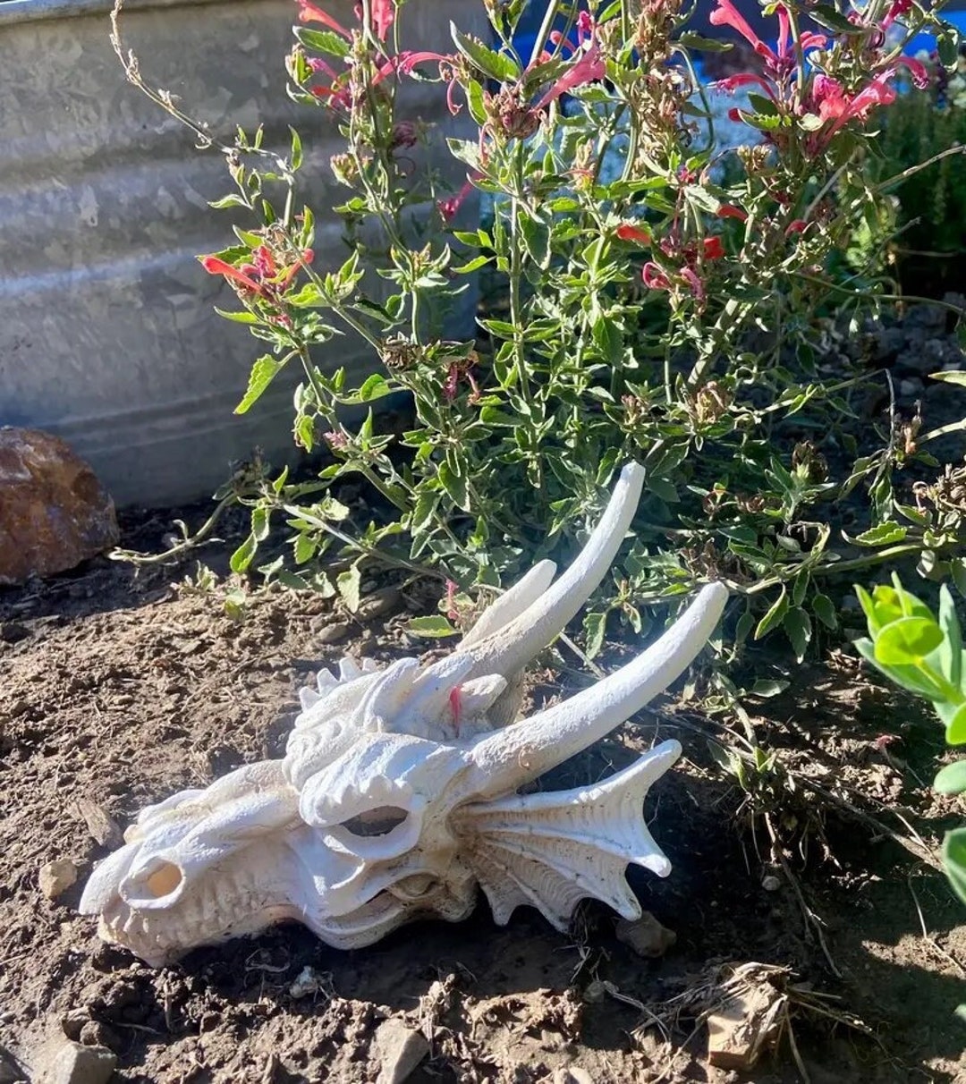 Vintage Dragon Bone Statue Ideal for Game of Thrones Enthusiasts and ...