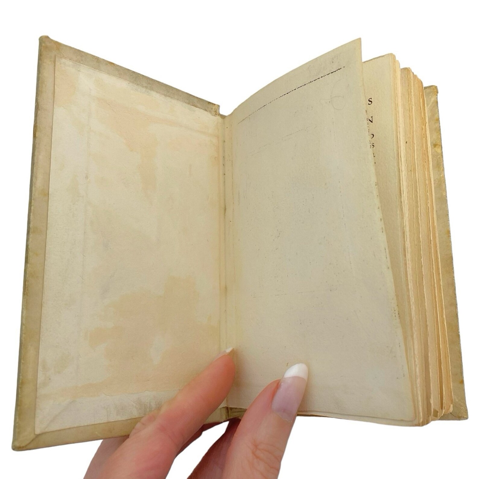 Edmund Spenser Amoretti & Epithalamion (the Noel Douglas Replicas) 1927 ...