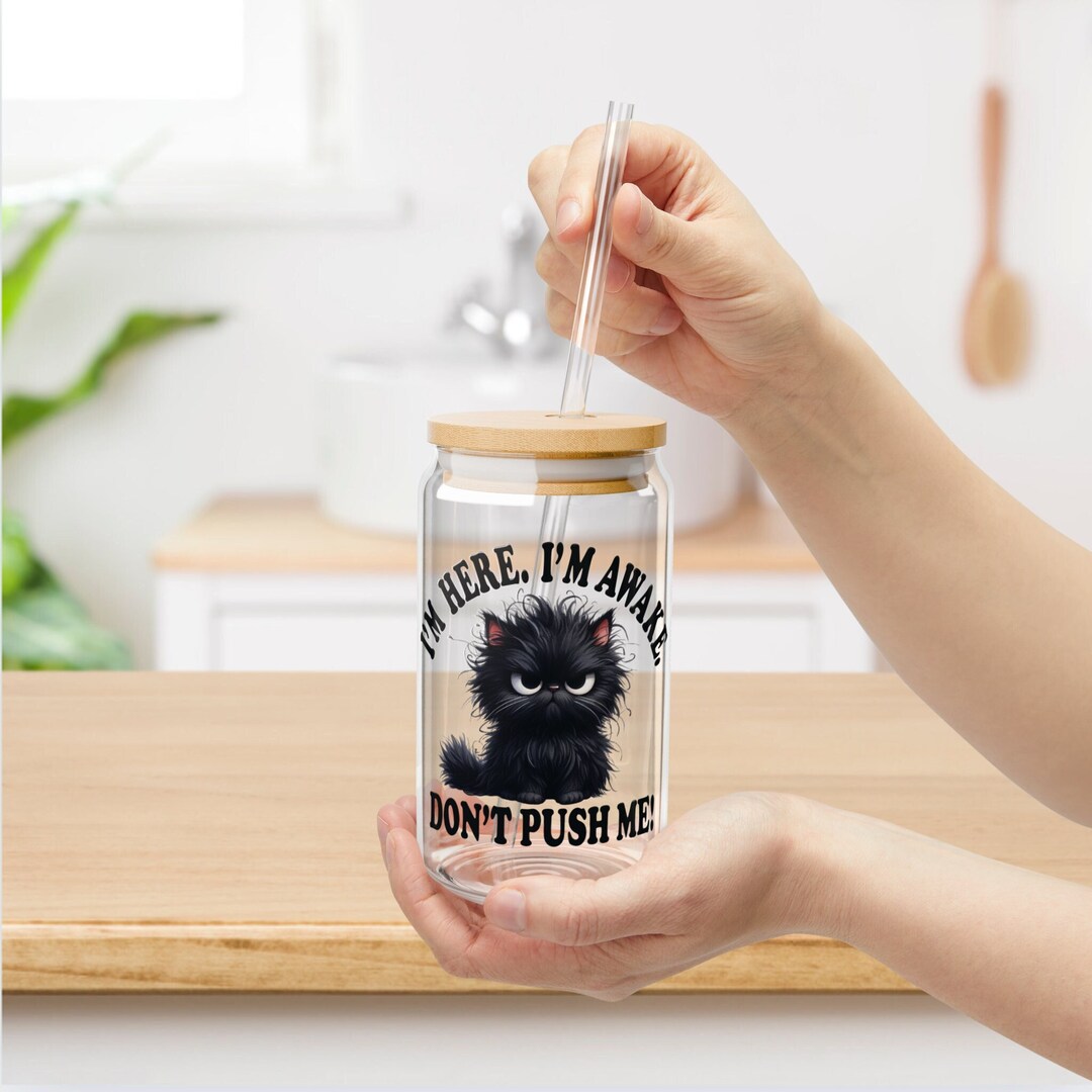 Funny Black Cat Sipper Glass With Lid and Straw, 16oz Iced Coffee Tea ...