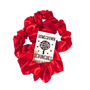 Red Satin Scrunchie, Silky Satin Scrunchie, Birthday Party Favors ...