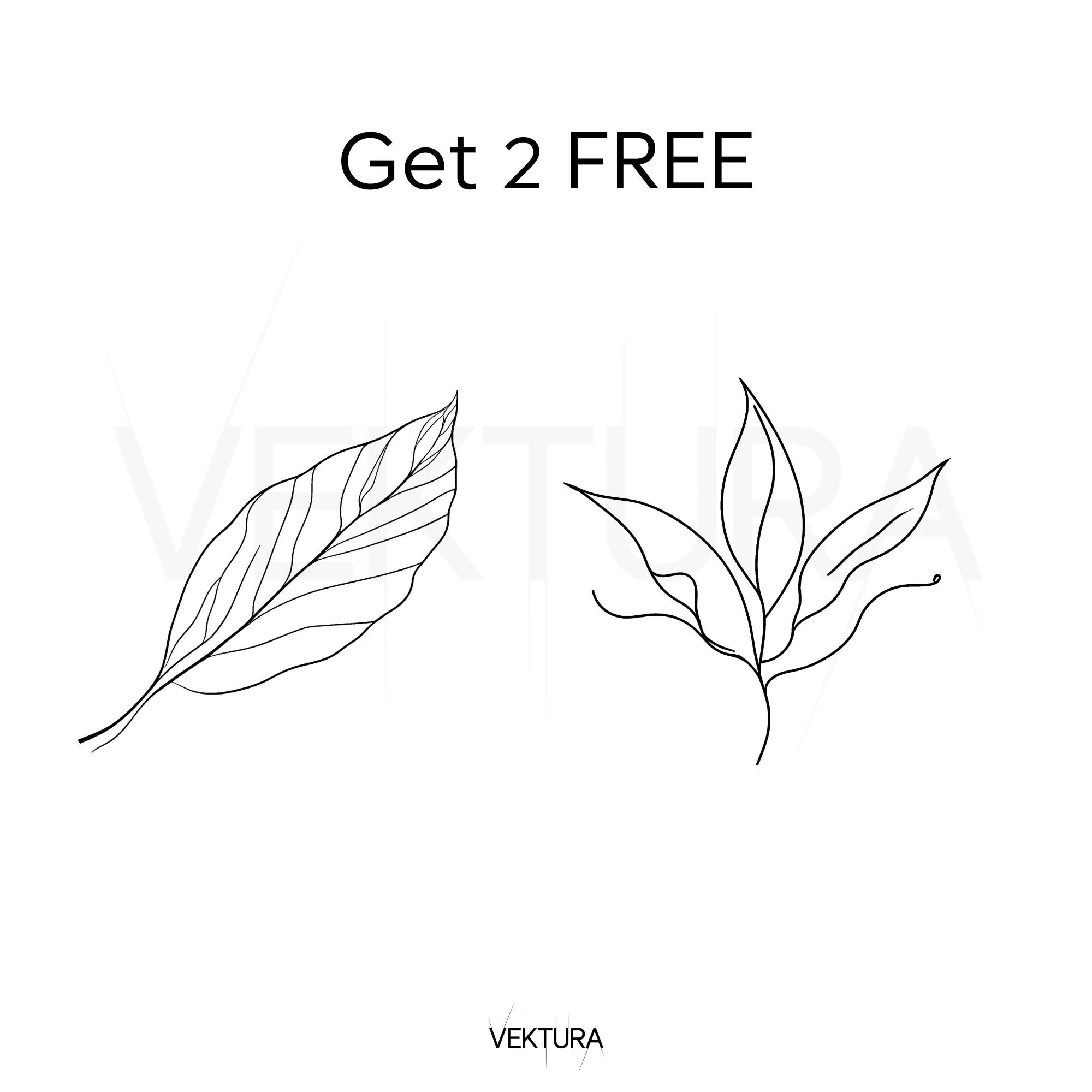 Leaf Line Art: Minimalist Botanical Drawing (SVG, AI, PNG Digital ...