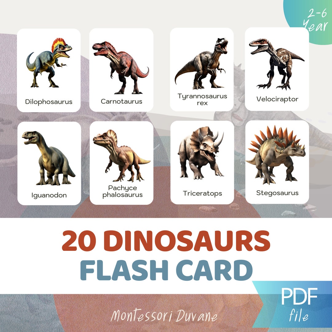 20 Dinosaurs Flash Cards, Montessori Flash Cards, Pre-school Cards ...