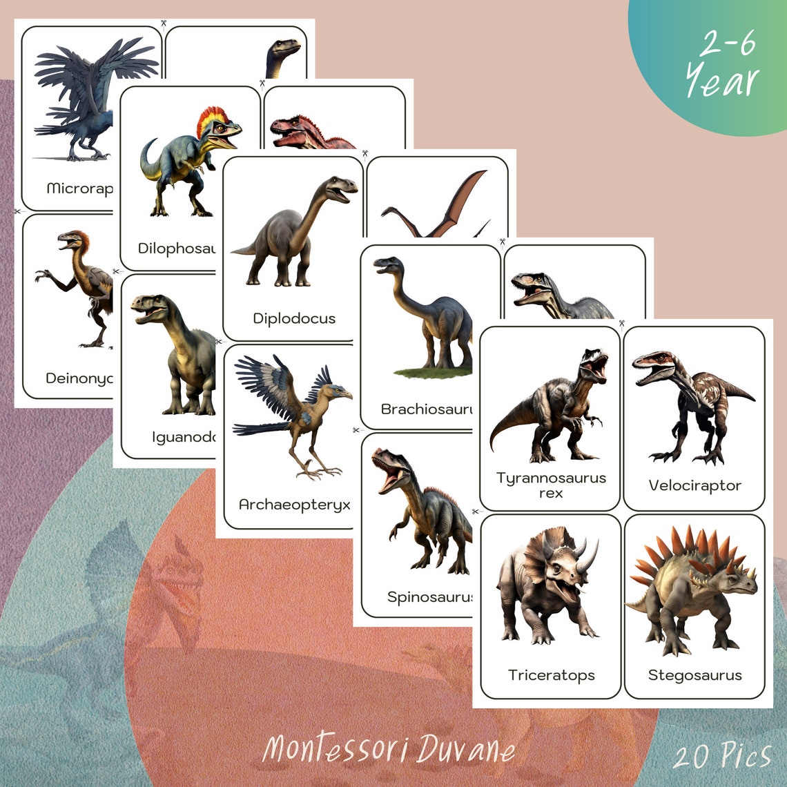 20 Dinosaurs Flash Cards, Montessori Flash Cards, Pre-school Cards ...