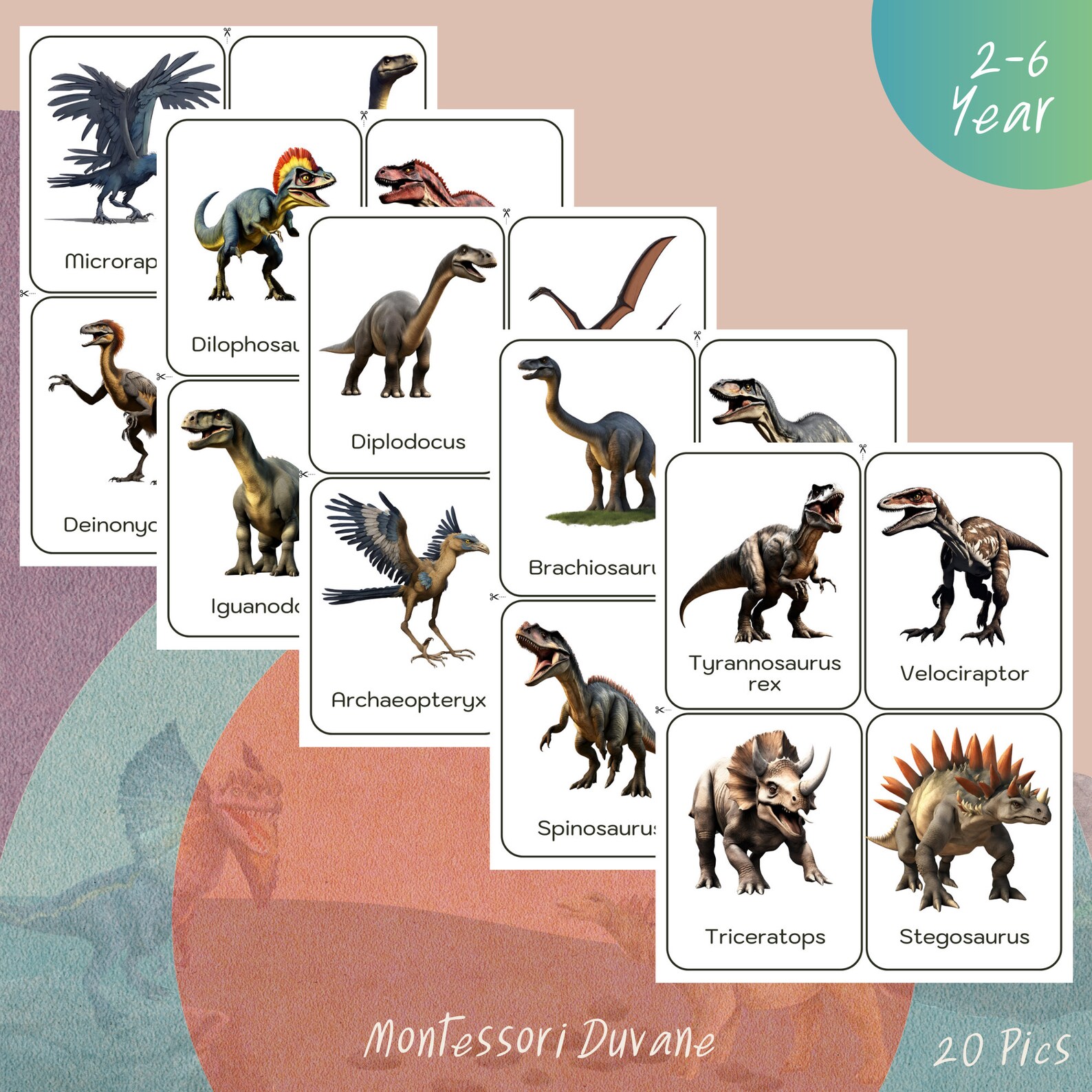 20 Dinosaurs Flash Cards, Montessori Flash Cards, Pre-school Cards ...