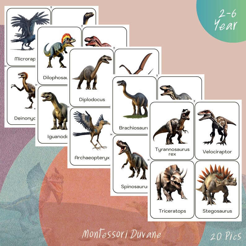 20 Dinosaurs Flash Cards, Montessori Flash Cards, Pre-school Cards ...