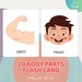 Body Parts Flash Cards, Montessori Flash Cards, Pre-school Cards ...