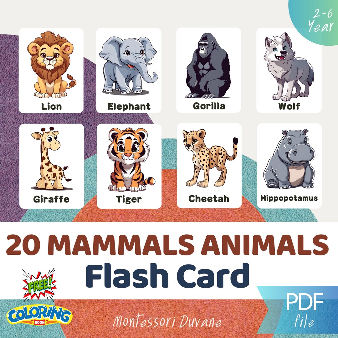 MAMMALS ANIMALS Flash Cards, Montessori Flash Cards, Pre-school Cards ...