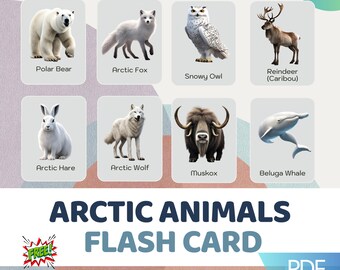SAFARI ANIMALS Flash Cards, Montessori Flash Cards, Pre-school Cards ...