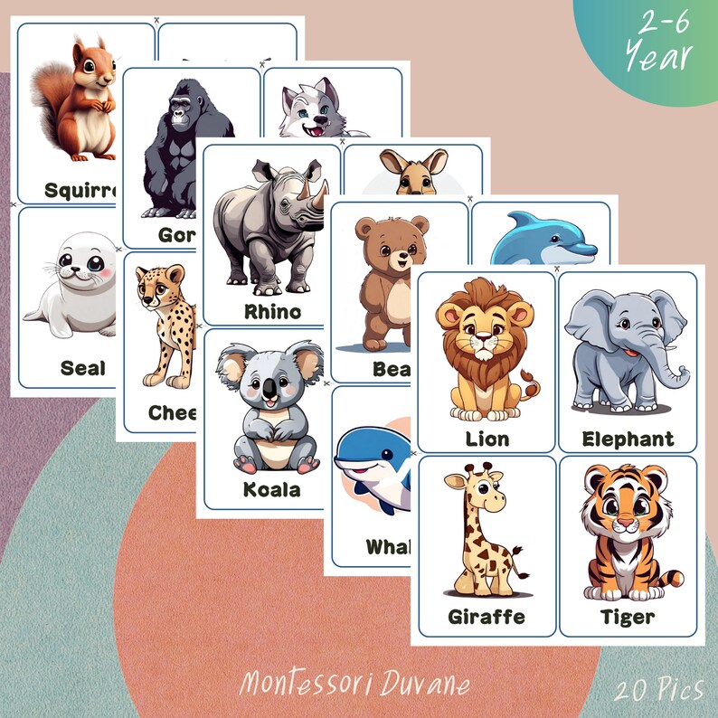 MAMMALS ANIMALS Flash Cards, Montessori Flash Cards, Pre-school Cards ...