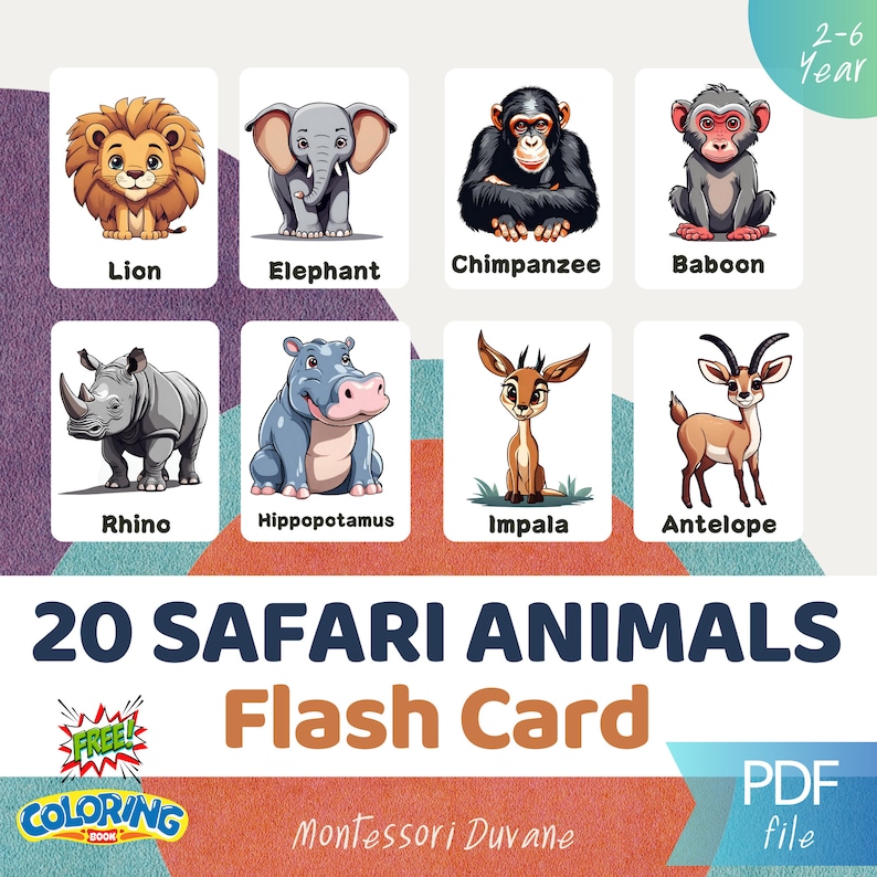 SAFARI ANIMALS Flash Cards, Montessori Flash Cards, Pre-school Cards ...