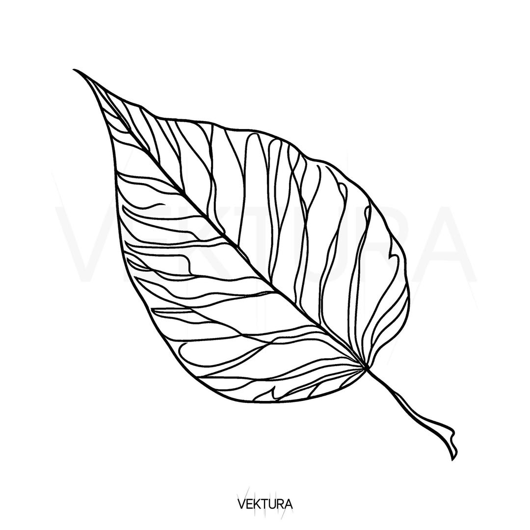 Leaf Line Art: Minimalist Botanical Drawing (SVG, AI, PNG Digital ...