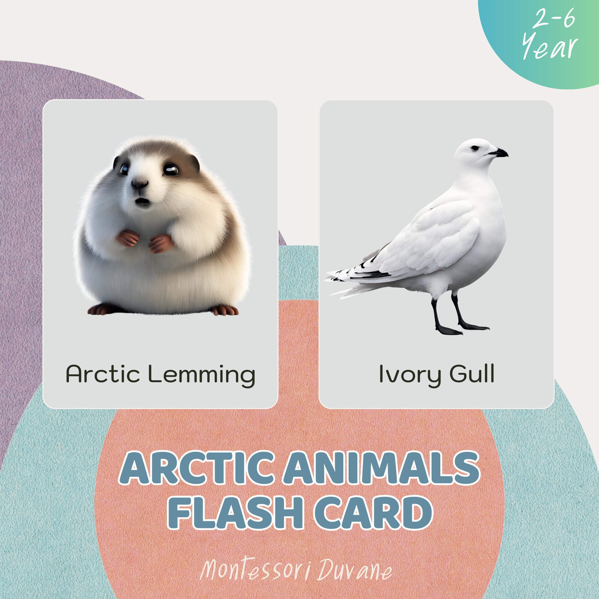 Arctic Animals Flash Cards, Montessori Flash Cards, Pre-school Cards ...