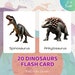 20 Dinosaurs Flash Cards, Montessori Flash Cards, Pre-school Cards ...