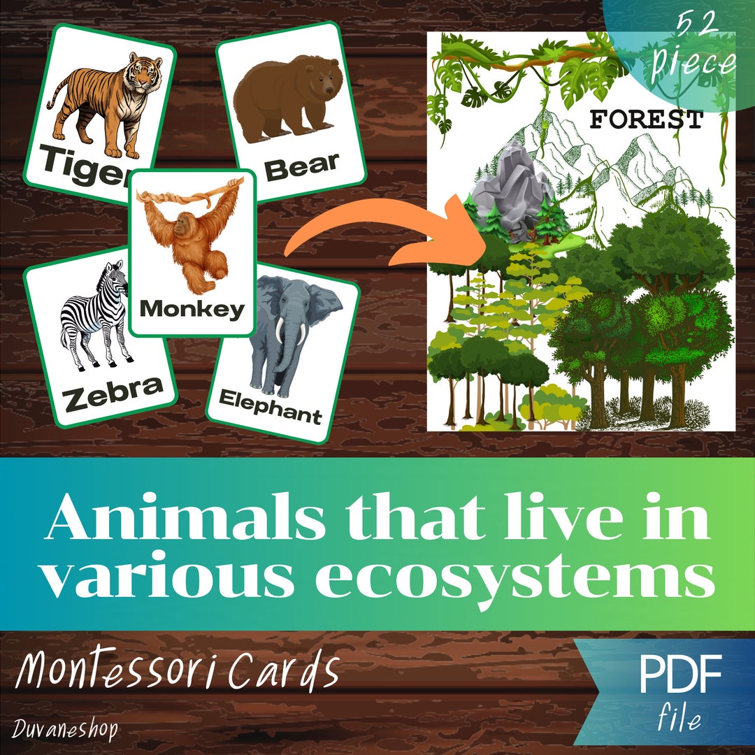 Animals That Live in Various Ecosystems Matching Cards • Montessori ...