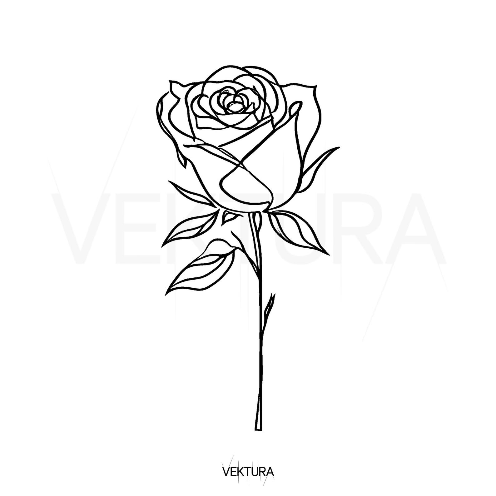 Rose Line Art: Minimalist Floral Drawing (SVG, AI, PNG Digital Download ...
