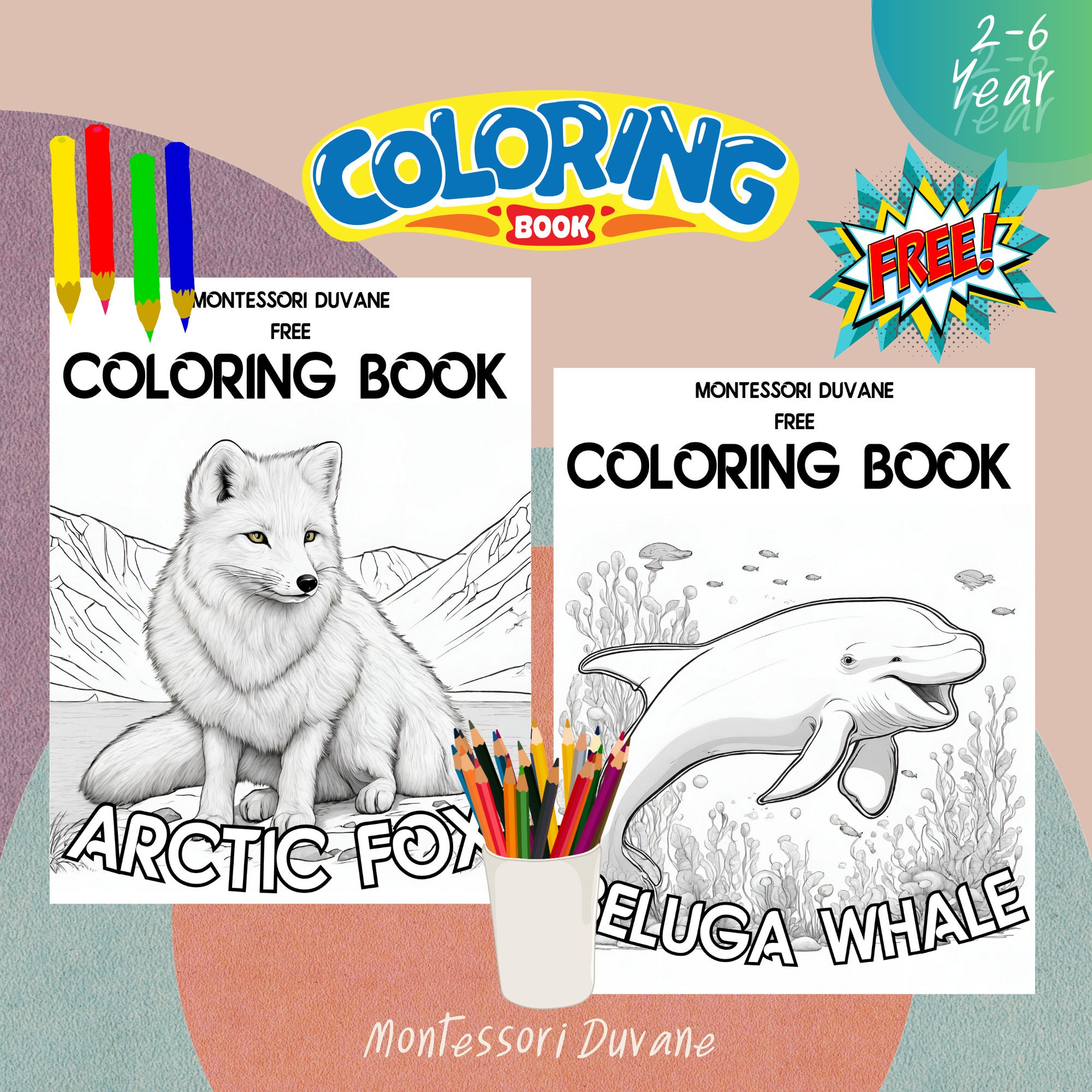 Arctic Animals Flash Cards, Montessori Flash Cards, Pre-school Cards ...