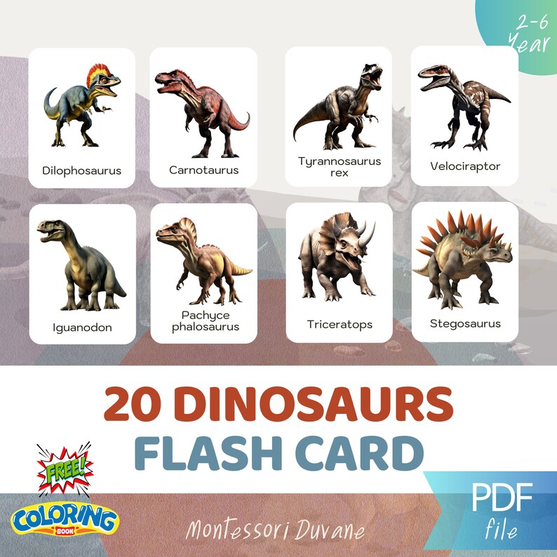 20 Dinosaurs Flash Cards, Montessori Flash Cards, Pre-school Cards ...