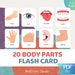 Body Parts Flash Cards, Montessori Flash Cards, Pre-school Cards ...