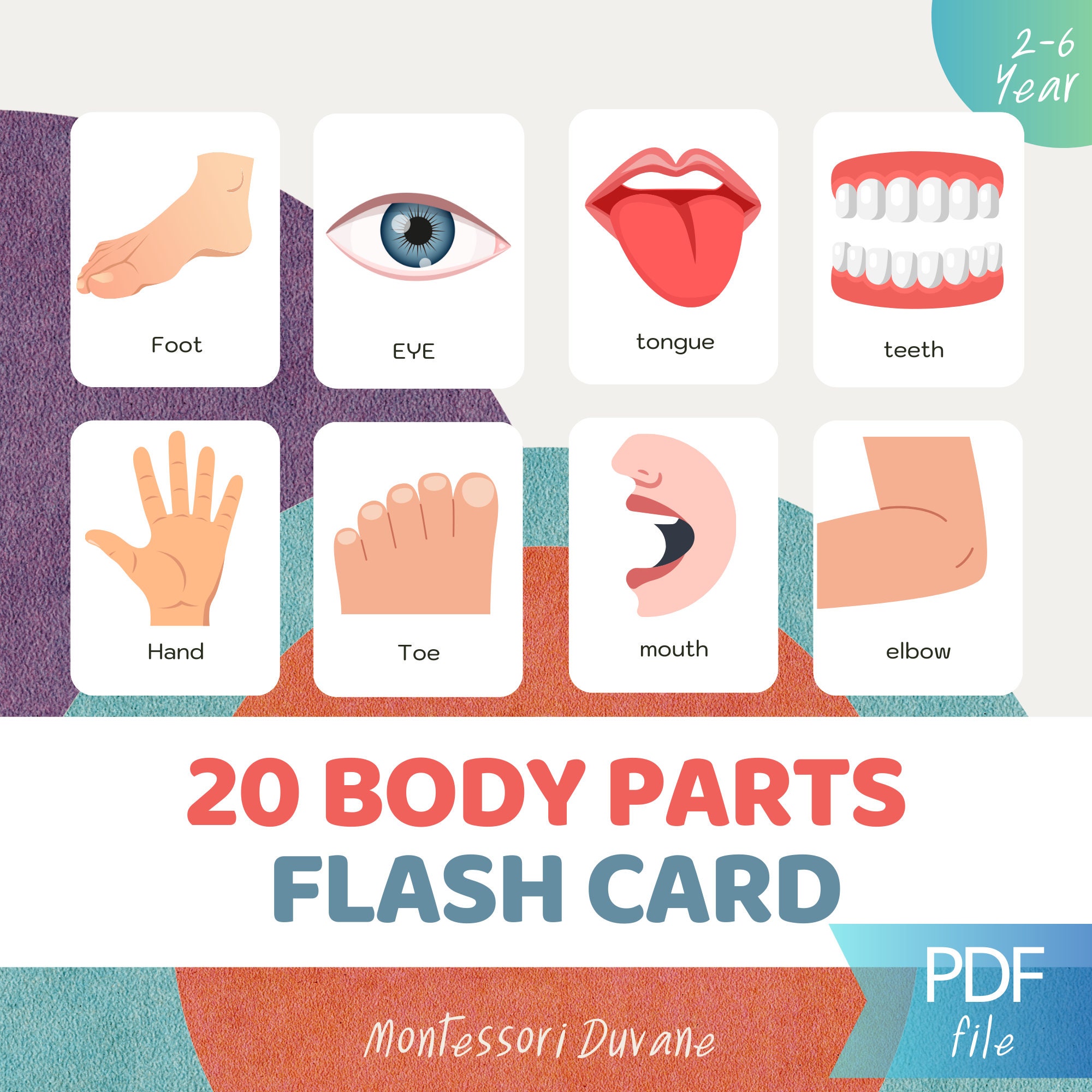Body Parts Flash Cards, Montessori Flash Cards, Pre-school Cards ...