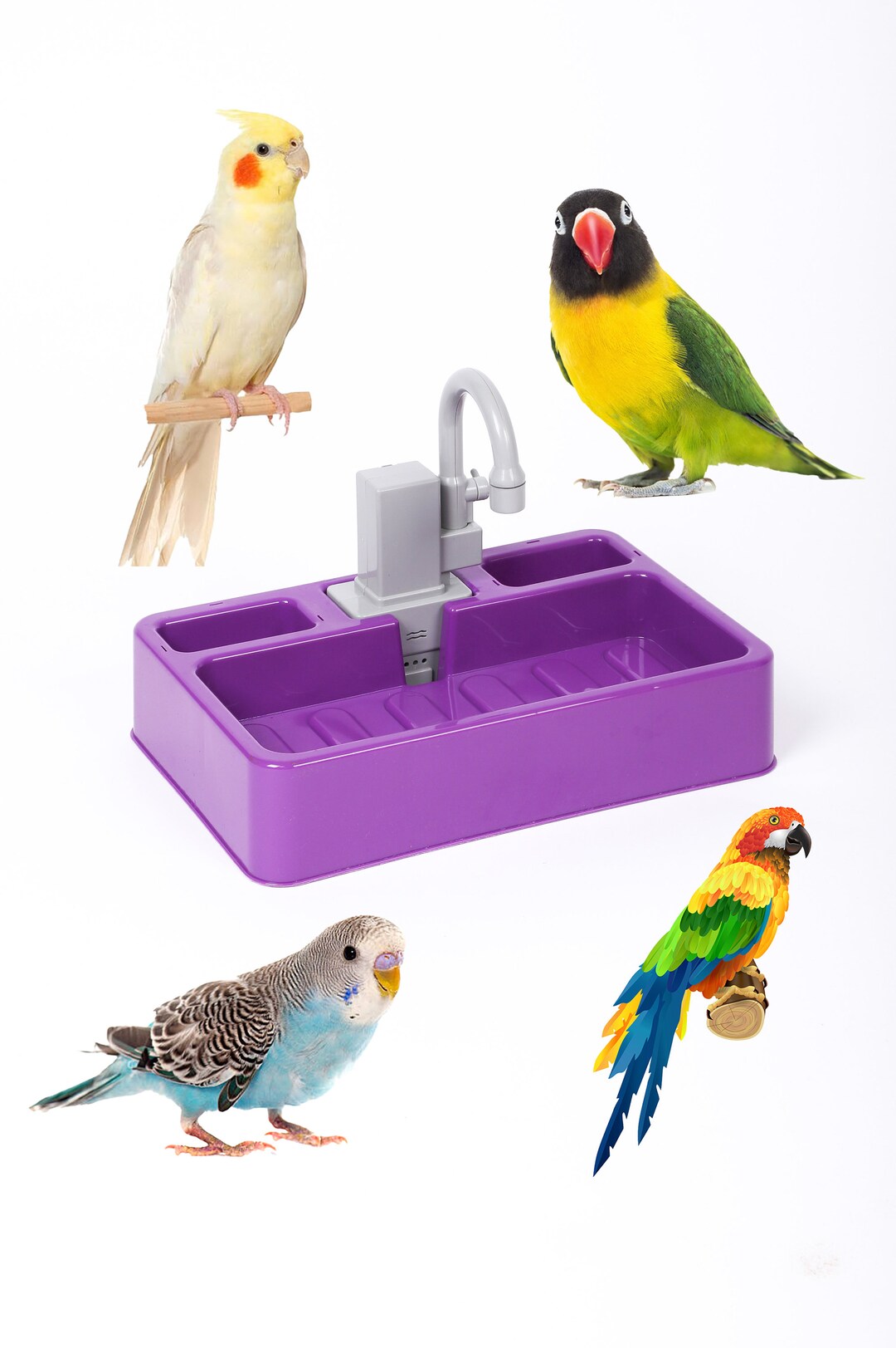 Bird Feeder Bird Shower Bird Bath for Parrots and Budgies - Etsy