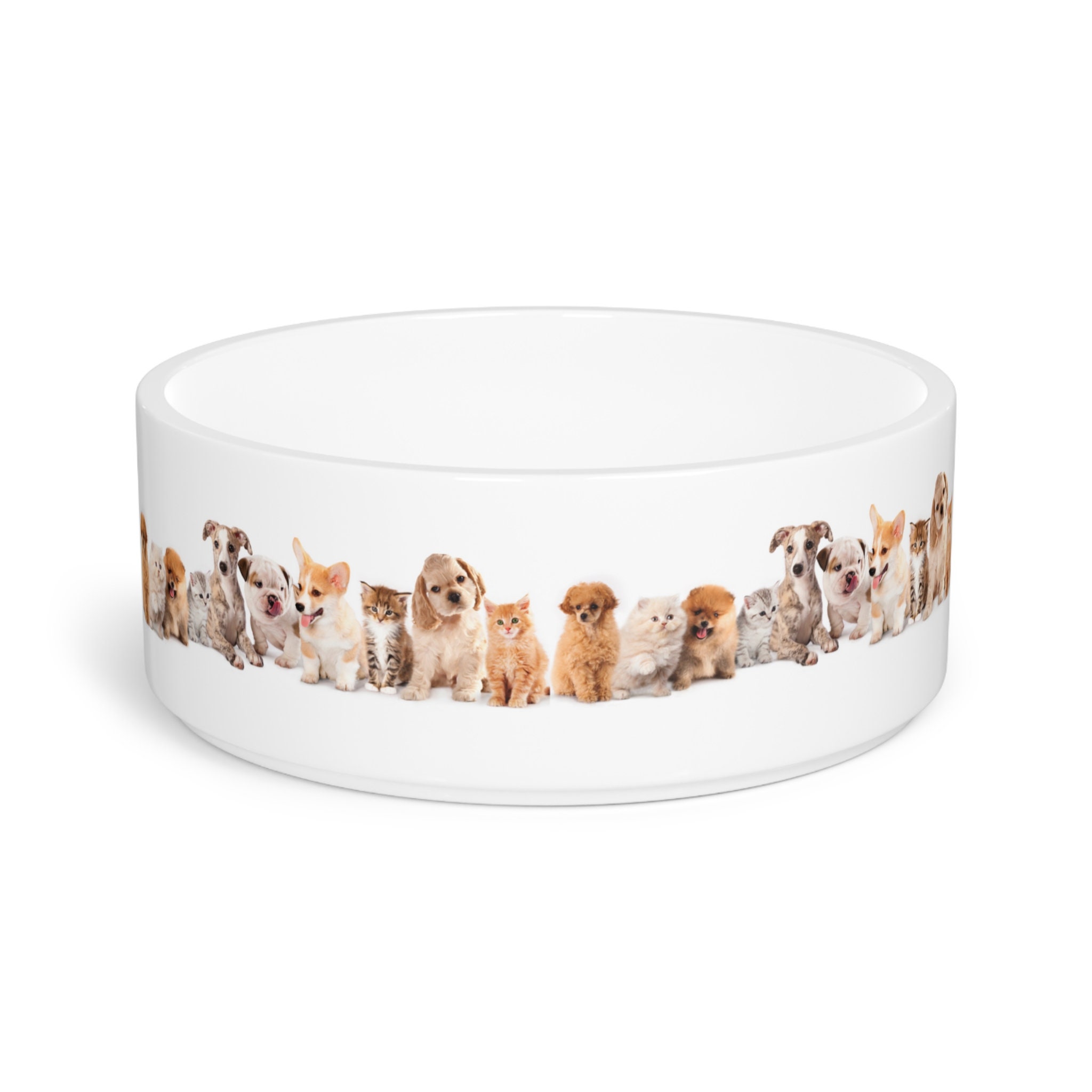 Dog Ceramic Pet Bowls/ Ceramic Dog Bowls / Best Ceramic Food Bowl ...