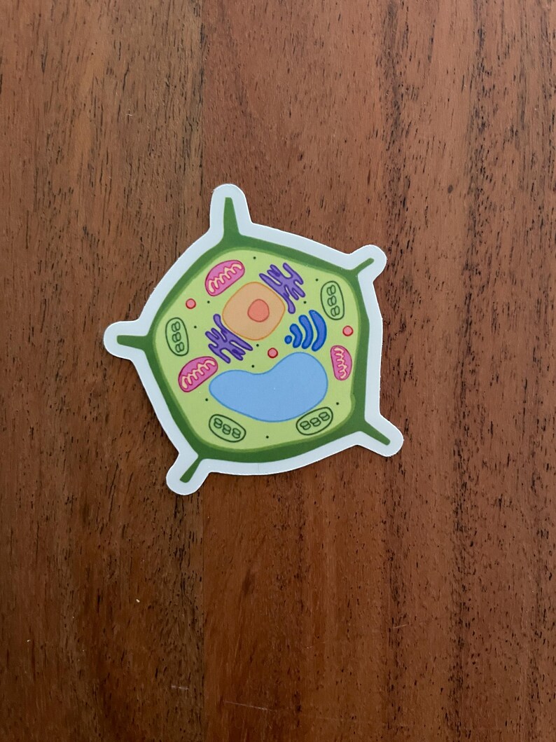 Plant & Animal Cell Sticker Set – Glossy Science Stickers – 2D and 3D ...