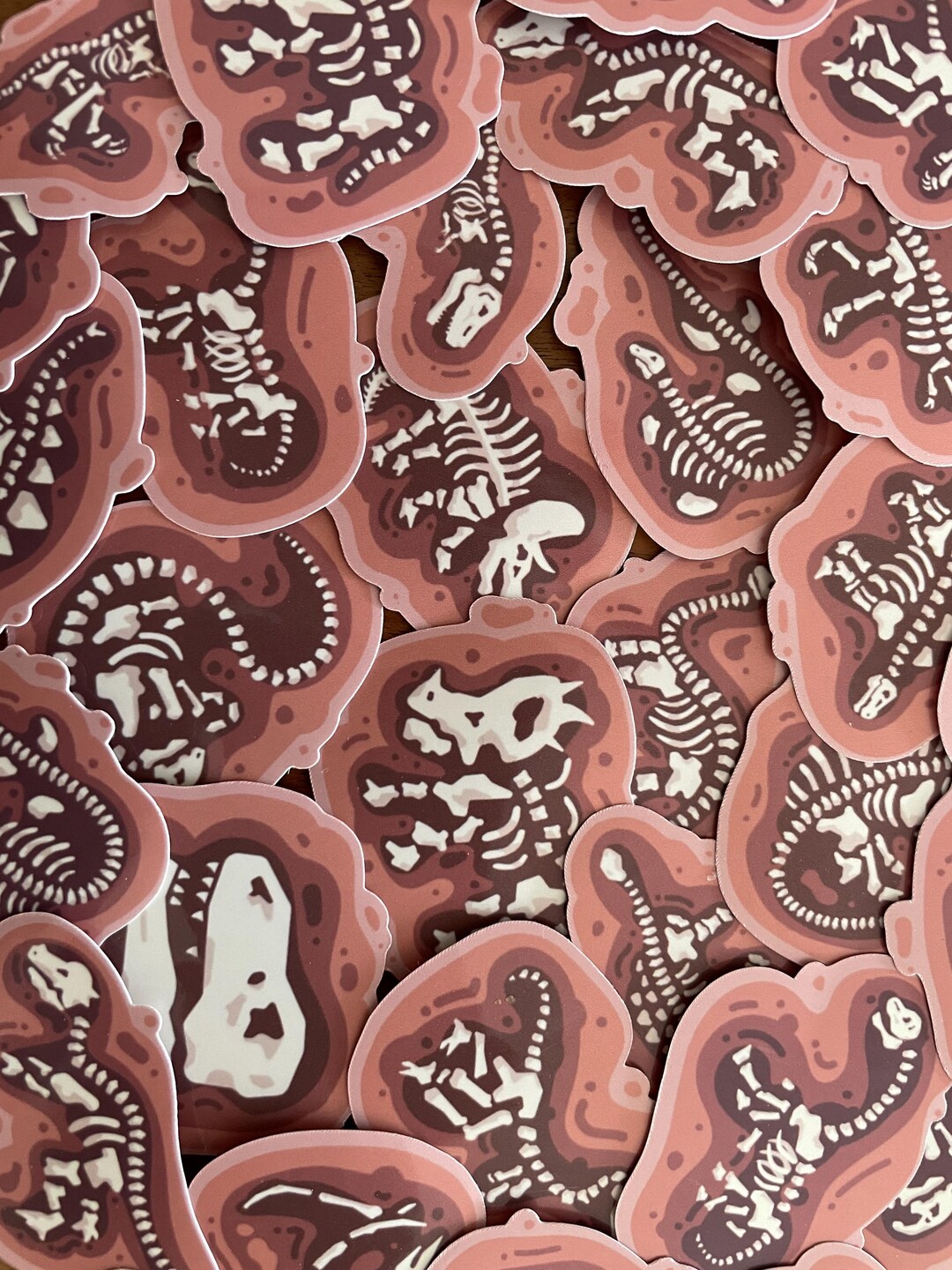 Dinosaur Fossil Stickers – Paleontology Sticker Pack - Etsy
