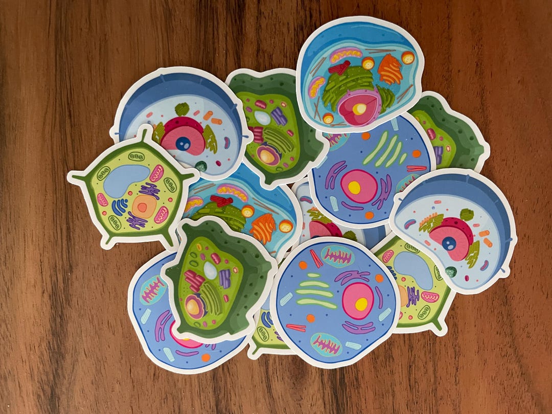 Plant & Animal Cell Sticker Set – Glossy Science Stickers – 2D and 3D ...