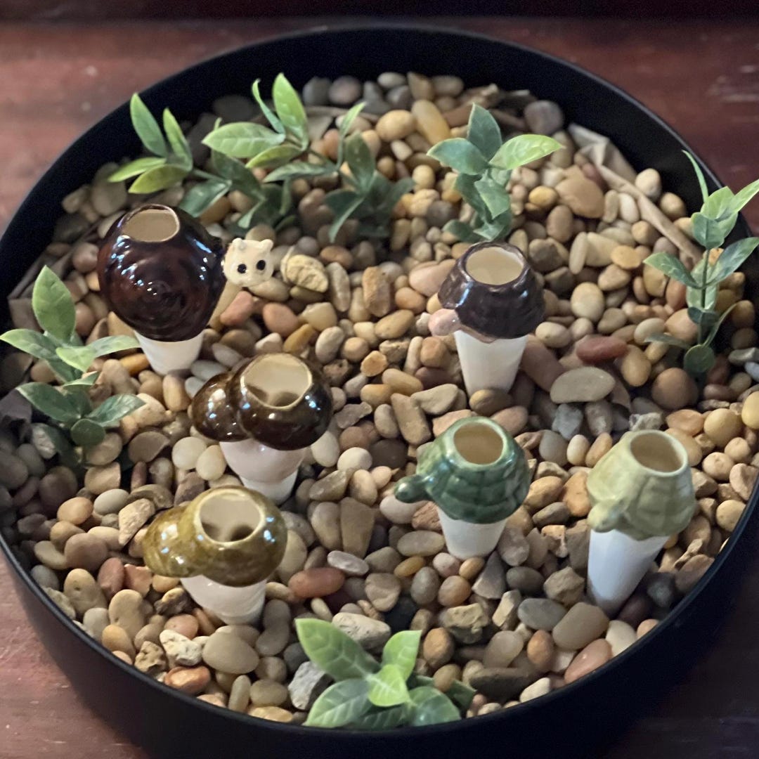 Natural Edition Ceramic Plant Tenders/watering Spikes Made New From ...