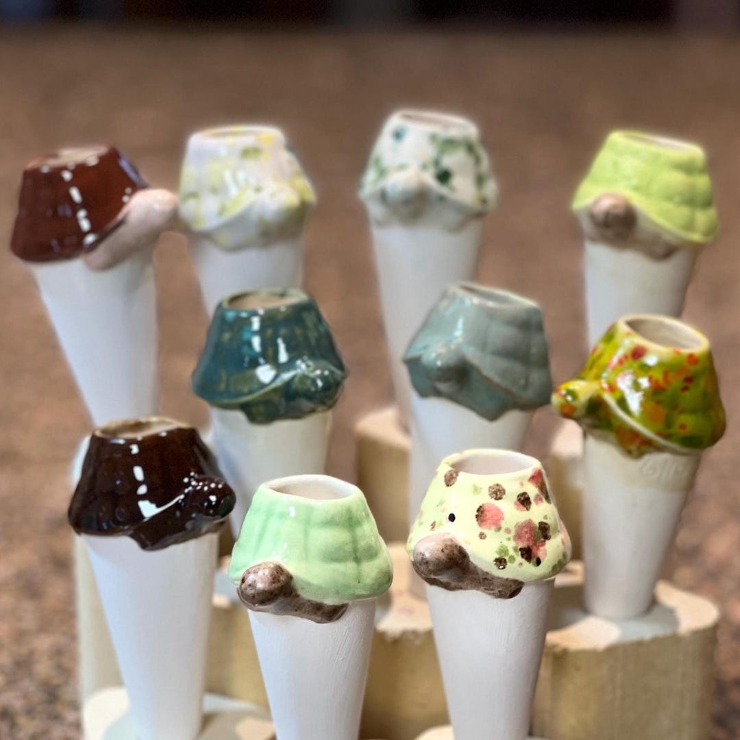 Ceramic Plant Tenders/watering Spikes *turtle* Made New From Vintage ...